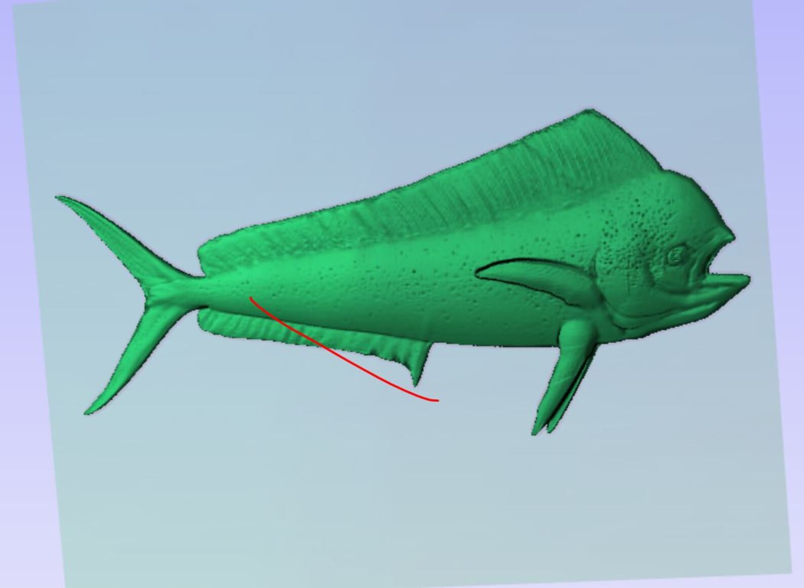 Mahi Mahi 3D Model, Dolphin Fish STL File - Etsy