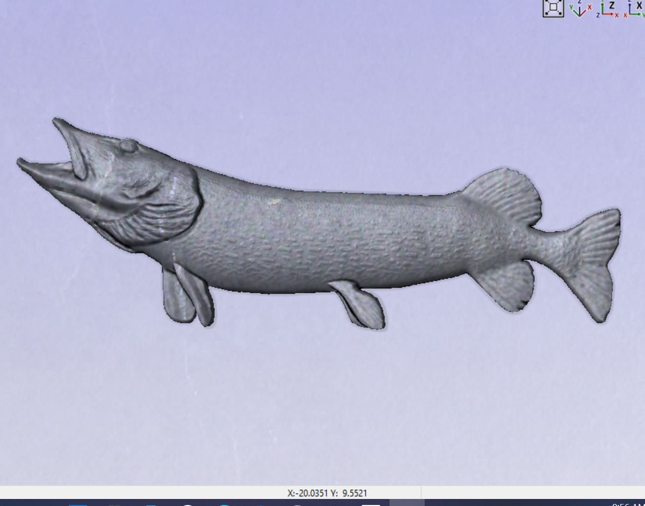 Northern Pike STL Model, 3D Two-sided Digital File - Etsy