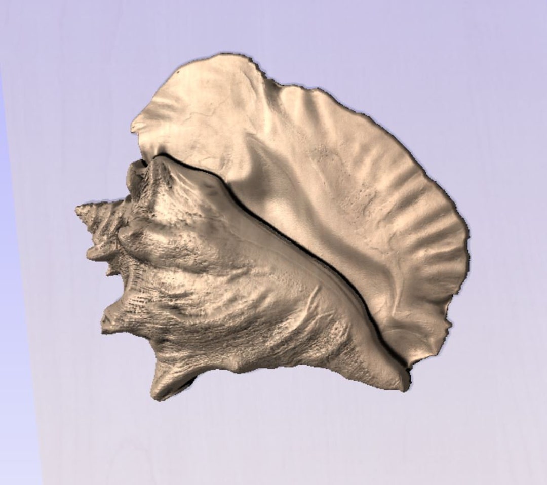 Conch Shell II Stl Model, Sea Shell Model - Etsy