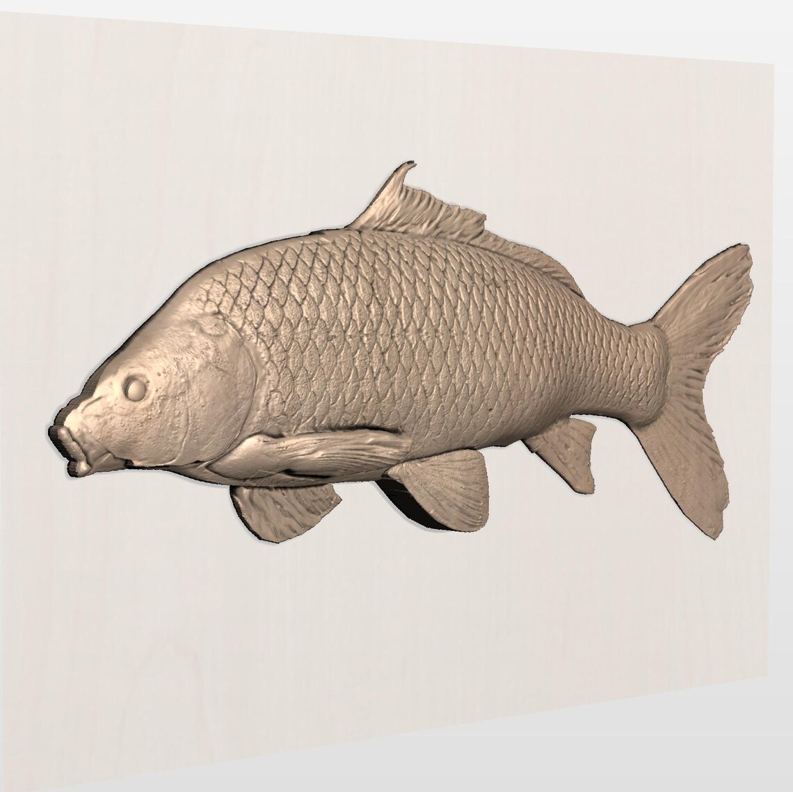 Carp Stl, Carp 3D Model, Common Carp 3D Model - Etsy
