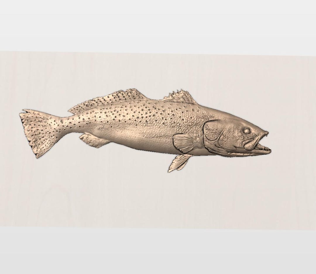 Sea Trout STL File - Etsy
