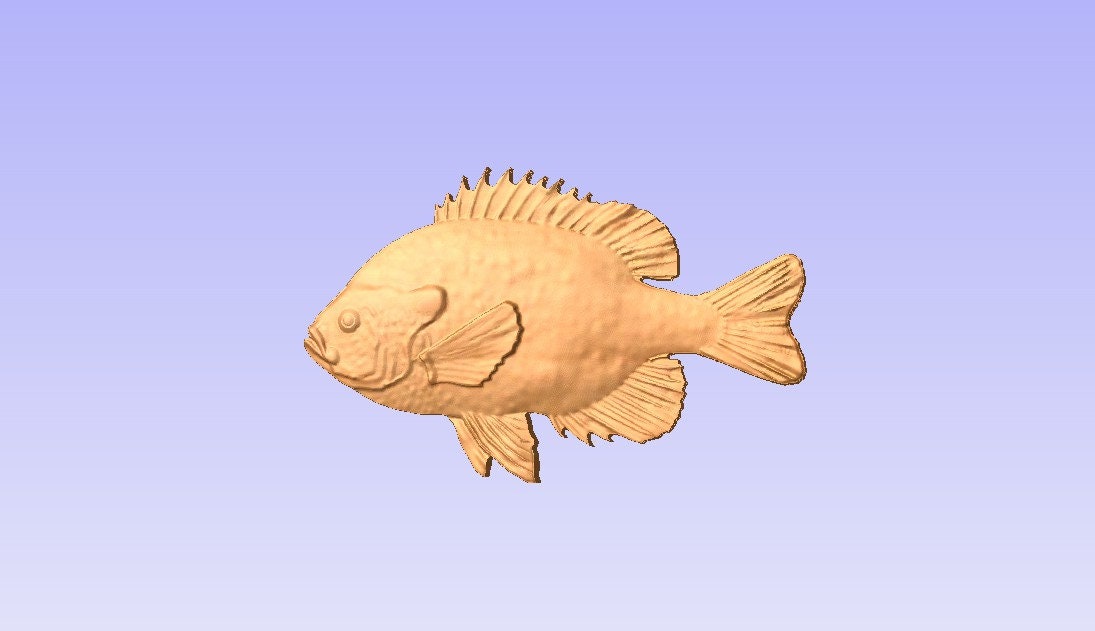 Brim Fish - Etsy