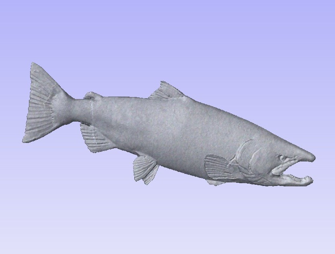King Salmon Stl, Chinook Stl, Chinook Salmon Stl - Etsy