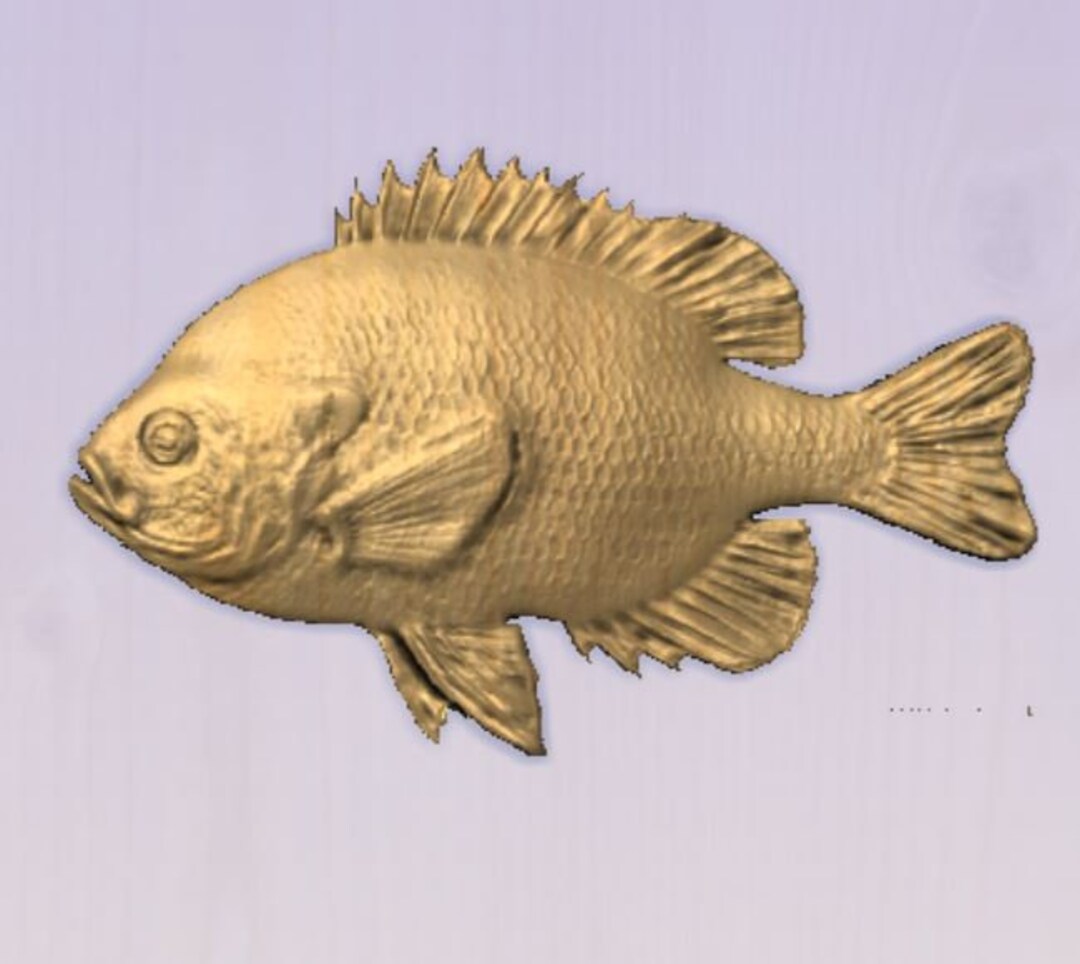 Bluegill Fish 3D STL Model for CNC (digital File) - Etsy
