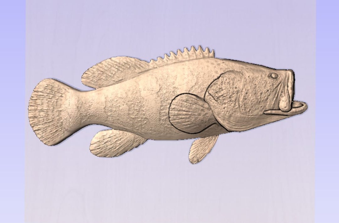 3D Model of Goliath Grouper STL, Grouper Stl, Red Grouper, 3D Grouper ...