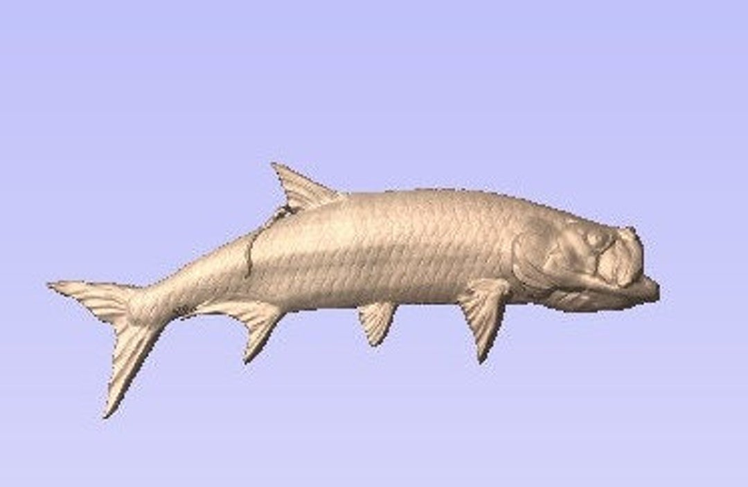 Tarpon Fish 3D STL File for CNC Carving - Etsy