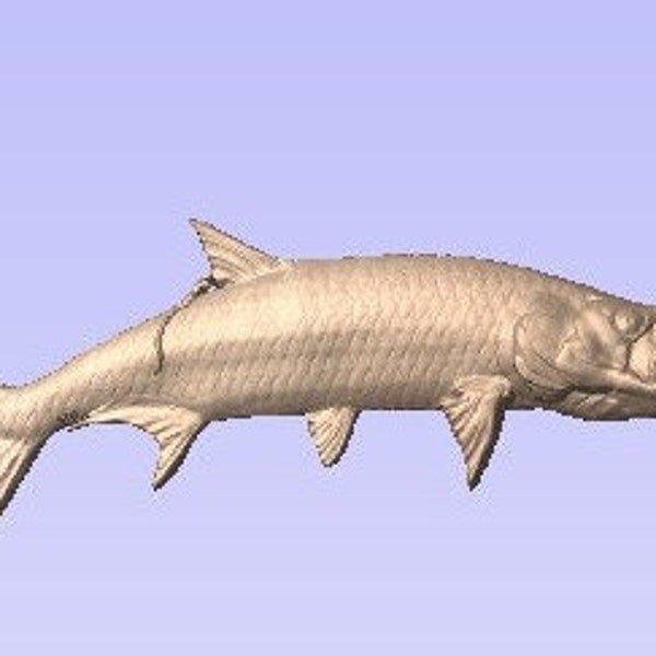 Tarpon - Etsy