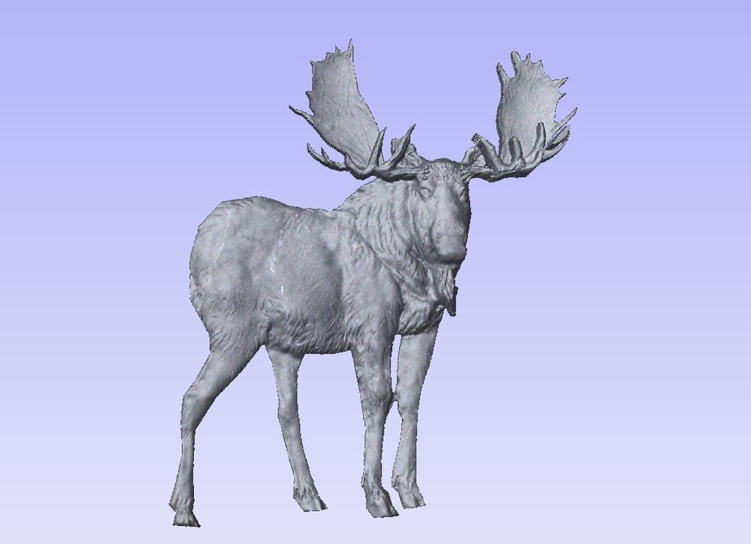 Bull Moose STL, Moose Stl, Moose for Cnc, 3 D Moose File, Alaskan Moose ...