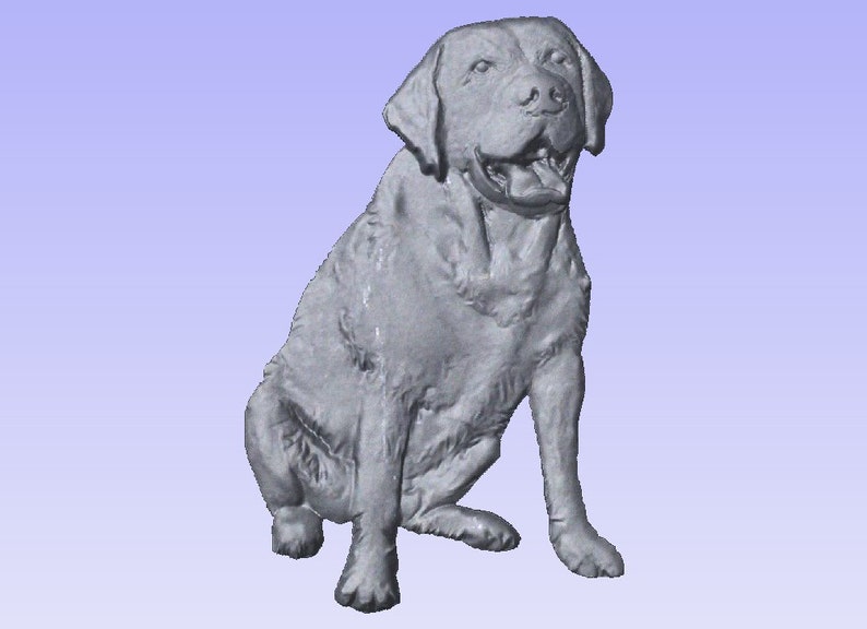 Custom Pet 3D Model STL File, CNC Carving - Etsy UK