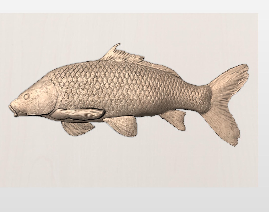 Carp Stl, Carp 3D Model, Common Carp 3D Model - Etsy