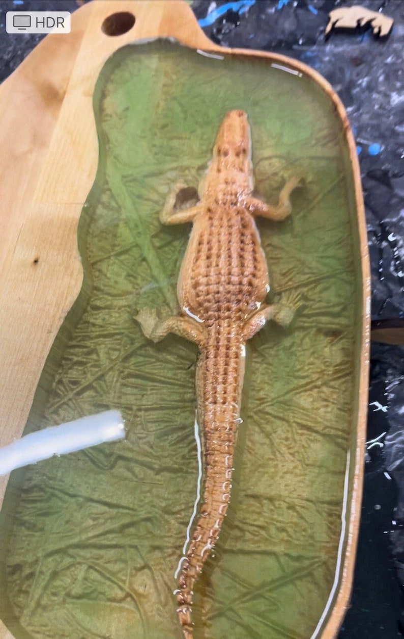 Floating Alligator Charcuterie Board 3D STL Model for Epoxy Table - Etsy