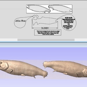 Rainbow Trout 2 Sided Stl, 3d Trout Stl, Fishing Stl, Rainbow Trout ...