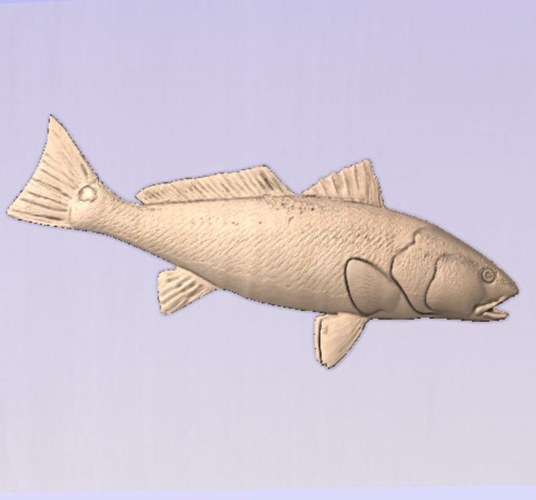 Red Drum Fish 3D Model STL, Wall Art (digital) - Etsy