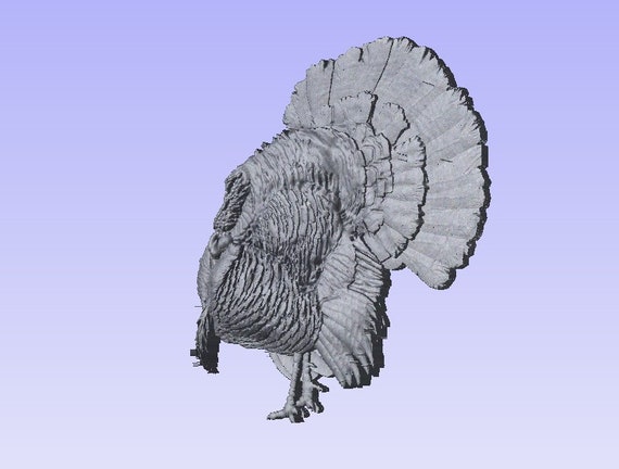 Turkey Hunting Sketches