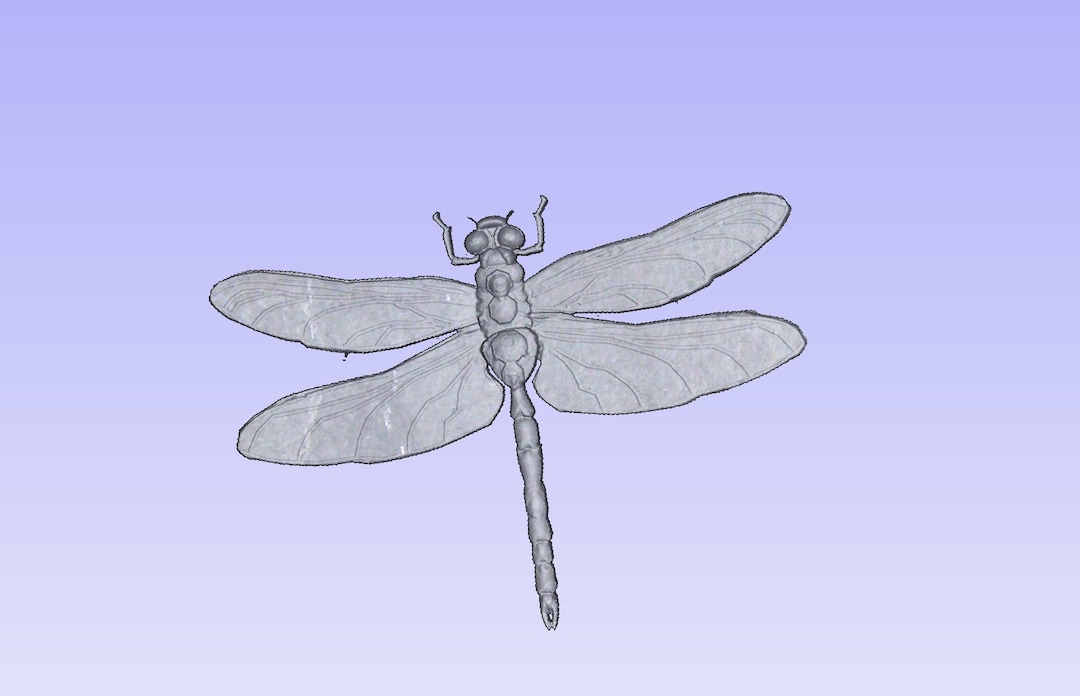 Dragon Fly Stl, 3D Dragonfly, Digital Dragonfly - Etsy