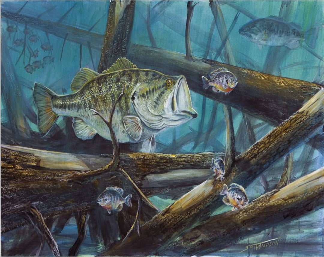 Bass Art, Largemouth Bass Print, Bass Metal Print, Fishing Art, Bass ...