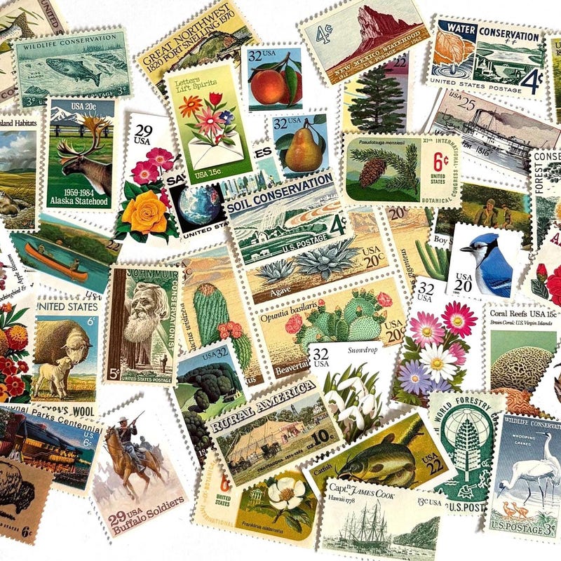 Nature Stamp - Etsy