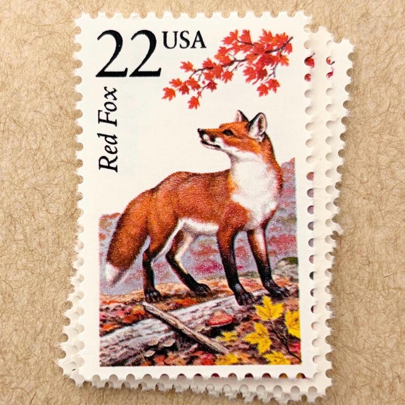 Fox Stamp - Etsy