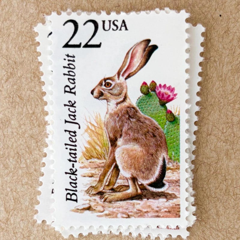 Bunny Rubber Stamp - Etsy