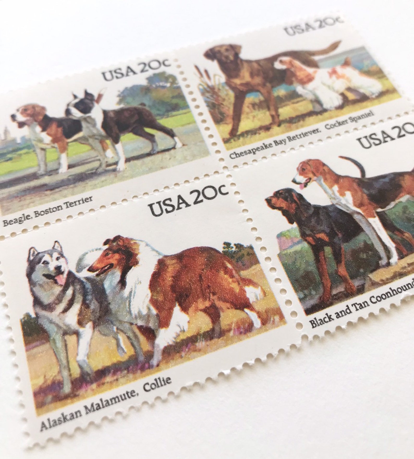 Vintage Dog Postage Stamps, Pedigree Breeds, US 20 Cent, Set of 8 - Etsy