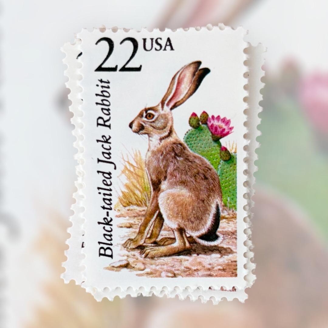 5 Vintage Black-tailed Jack Rabbit Postage Stamps: 22 Cent Wildlife - Etsy