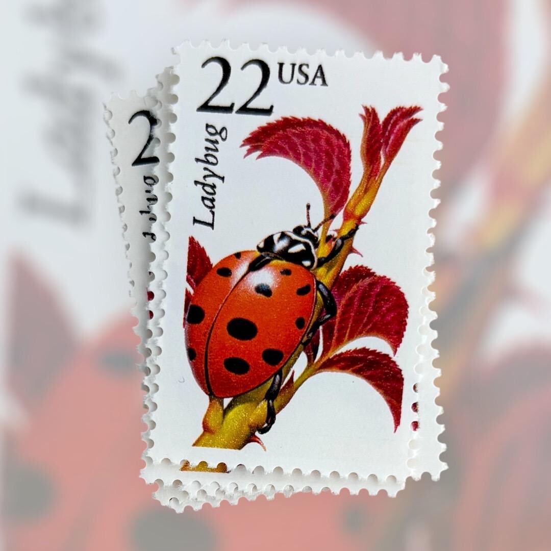 5 Unused Vintage California Ladybug Red Postage Stamps / Lady Bug North ...
