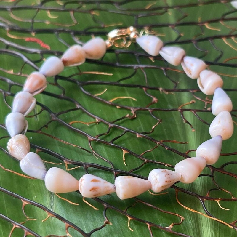 Cone Shell Jewelry - Etsy