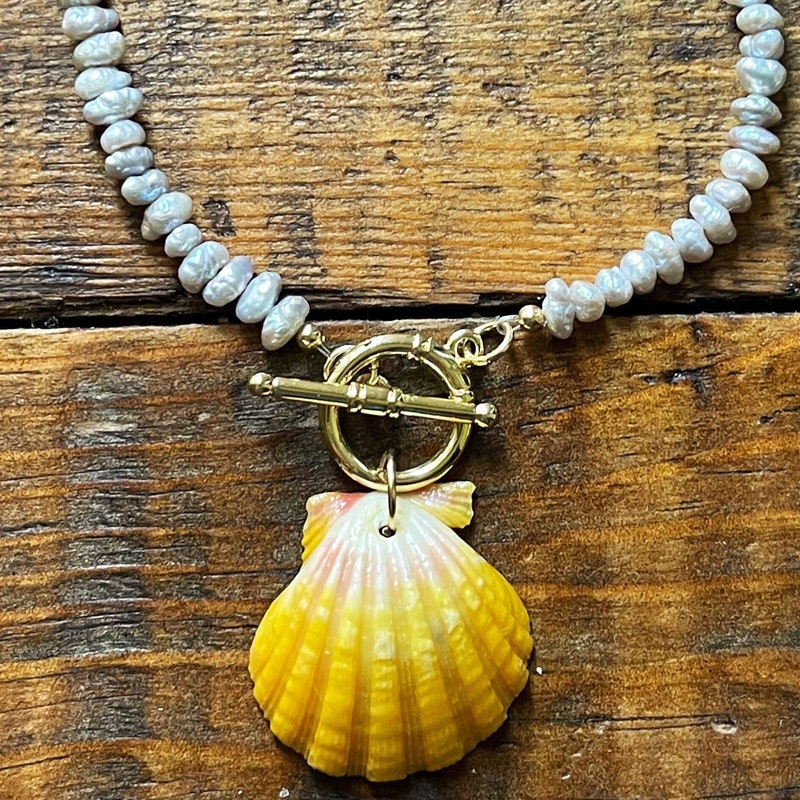 Sunrise Shell - Etsy