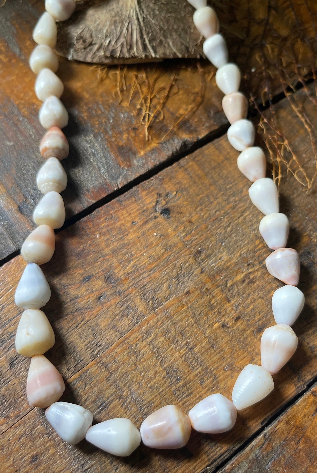 Chunky Cone Shell Necklace 14k GF 18 Inch Minimalist Cone Shells ...