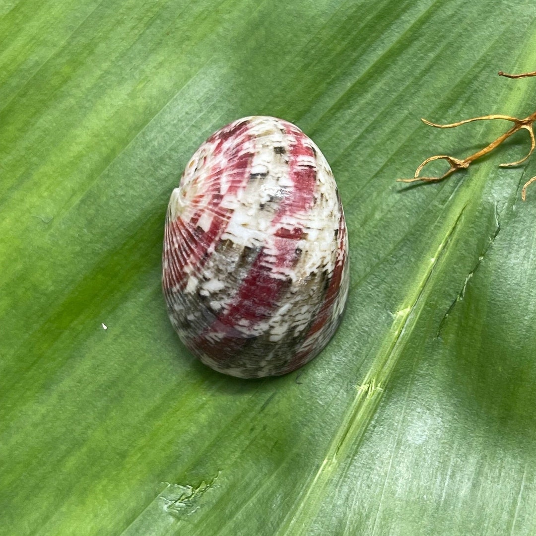 Hawaii Kupee, Red Rainbow Kūpee XXL Kupee, Hawaiian Protection Talisman ...