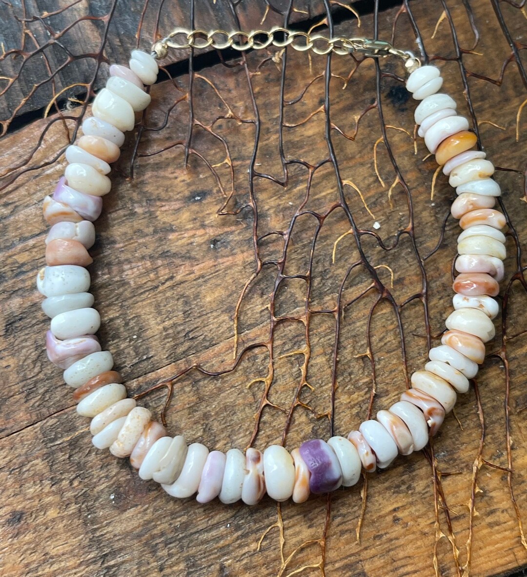 Dainty Cinnamon Bun Purple Puka Shells Bracelet 7 Inch 1 Inch Extender ...