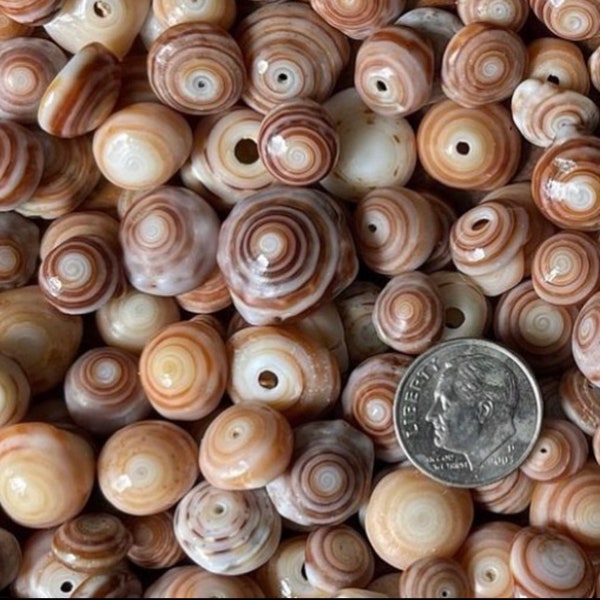 Puka Shells - Etsy
