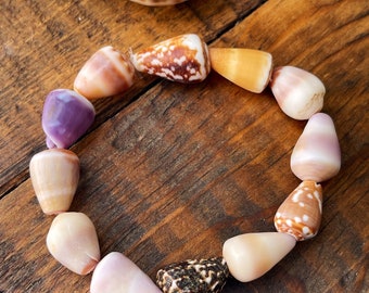 Hawaiian Cone Shell | Etsy