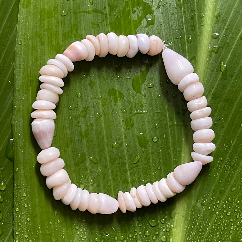 Hawaii Puka Shells Dwarf Cone Shells Bracelet 802 - Etsy