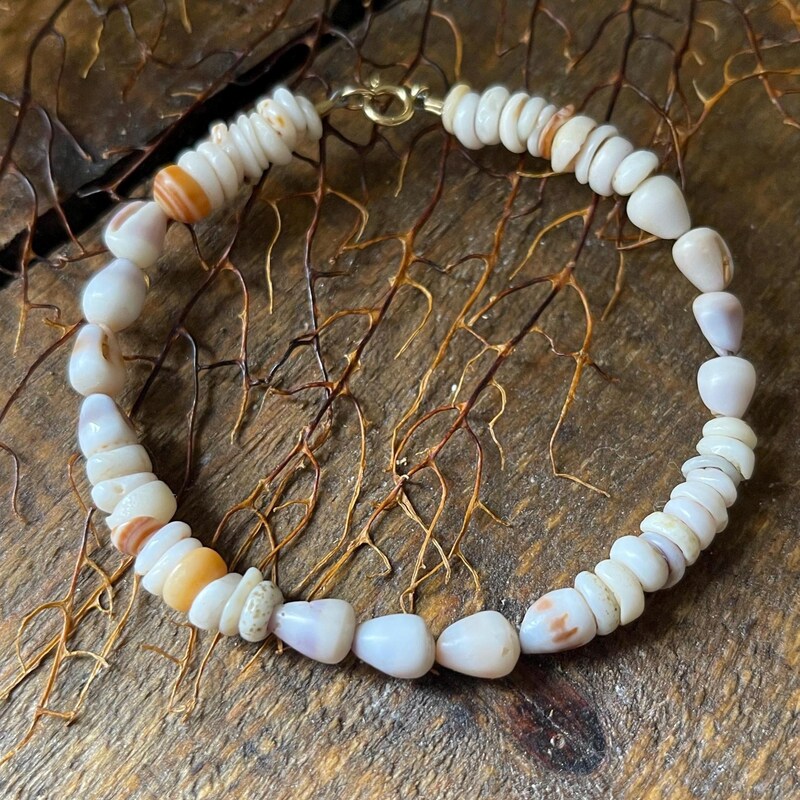 Cone Shell Jewelry - Etsy