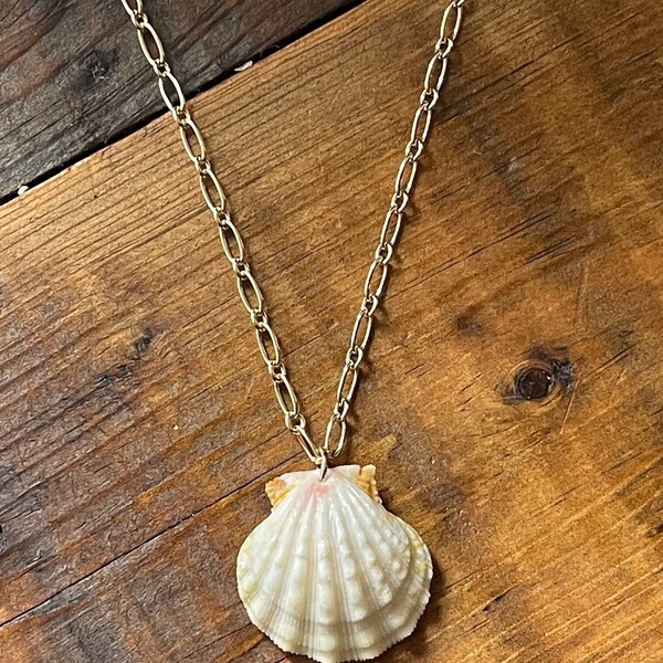 Sunrise Shell - Etsy