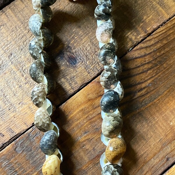 Niihau Shell Necklace - Etsy