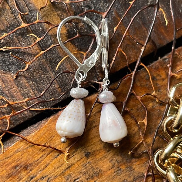 Hawaiian Cone Shell - Etsy