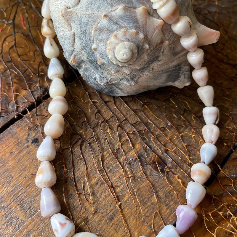 Cone Shell Jewelry - Etsy