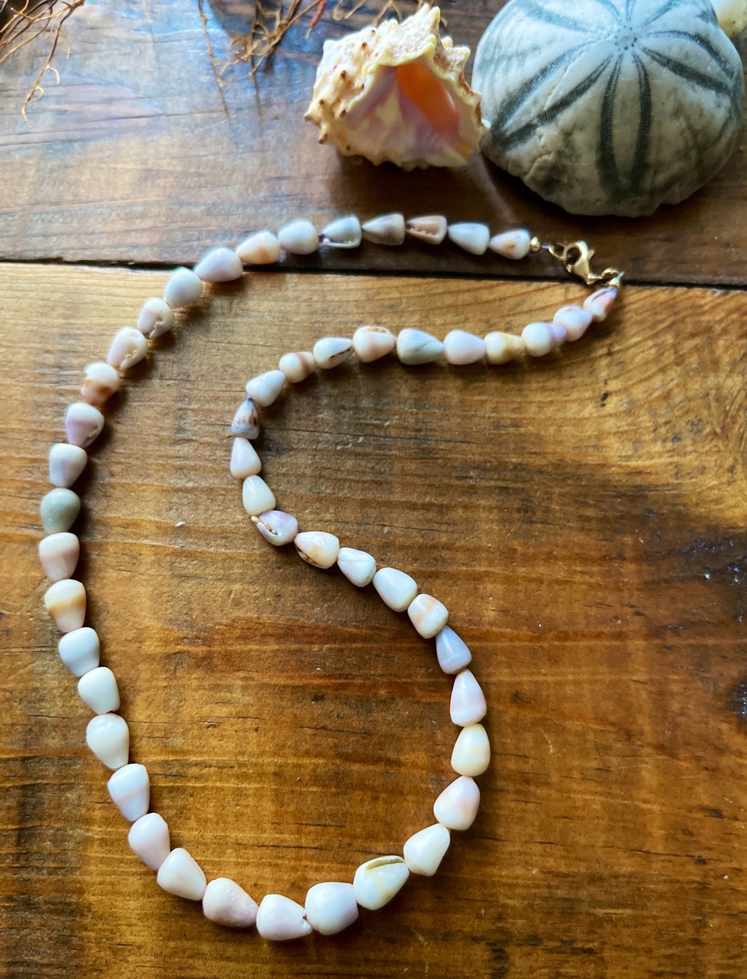 Hawaiian Dwarf Cone Shells Necklace Dainty Hawaii Cone Shells Necklace ...