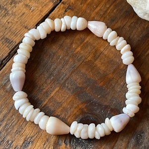 Hawaii Puka Shells, Dwarf Cone Shells Stretch Bracelet, 7 inch - Etsy