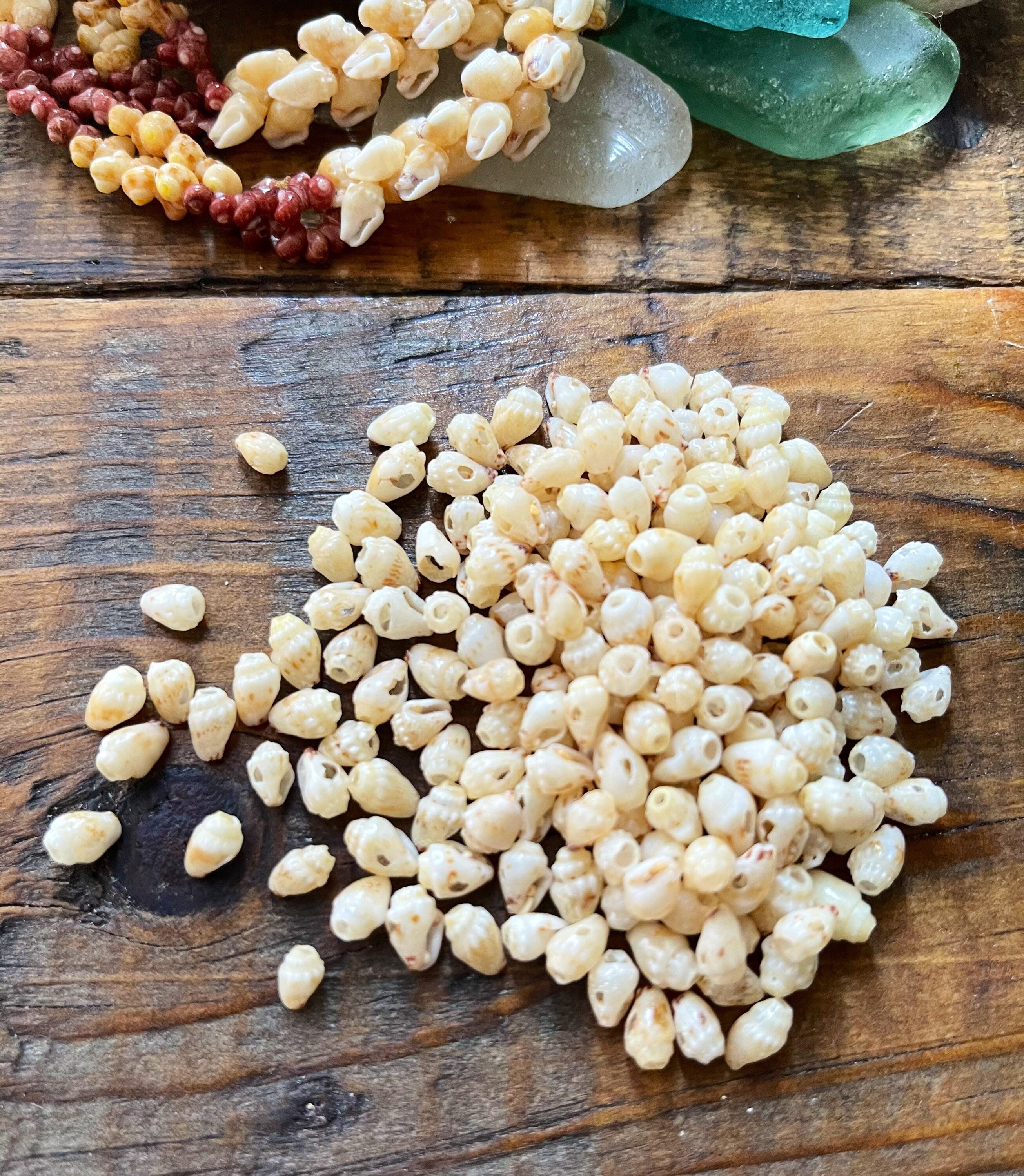 Niihau Shells for sale | Only 2 left at -70%