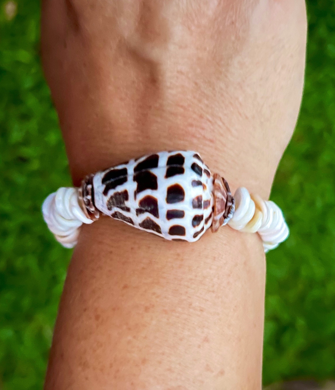Hebrew Cone Shell Bracelet (7.50 Inch) | Hawaii Puka Shells Stretch ...