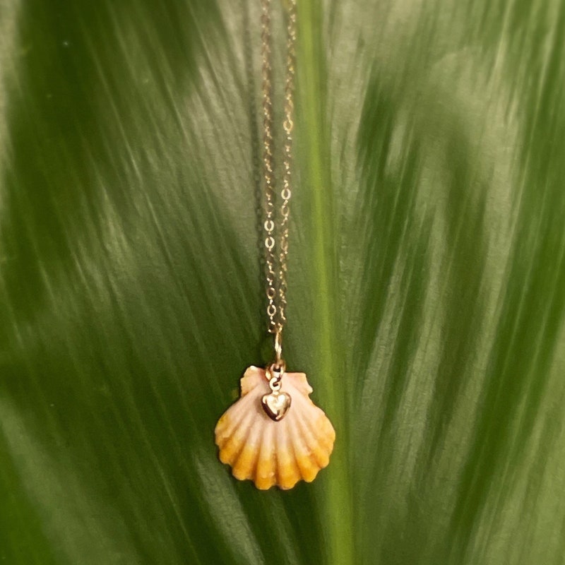 Sunrise Shell Necklace - Etsy