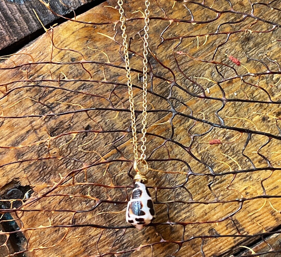 Hebrew Cone Shell Necklace 18K GF Hawaii Cone Shell Necklace Minimalist ...