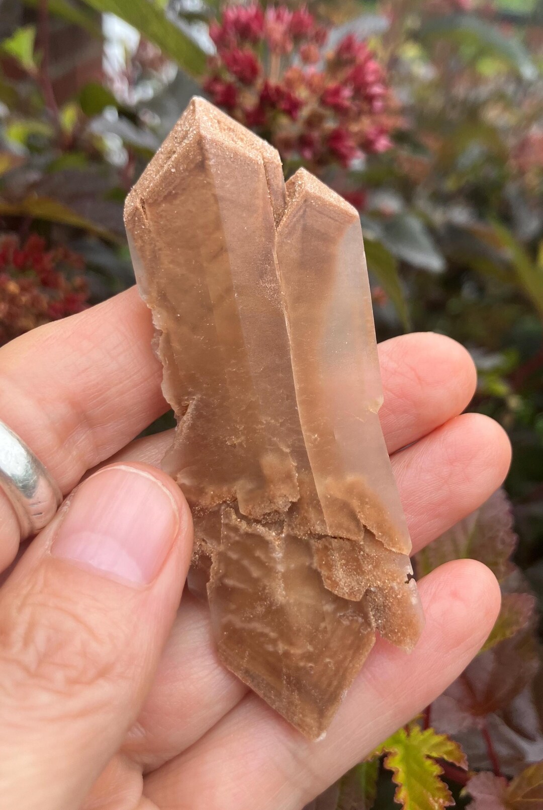 Hourglass Selenite | Great Salt Plains Refuge | Alfalfa County Oklahoma ...