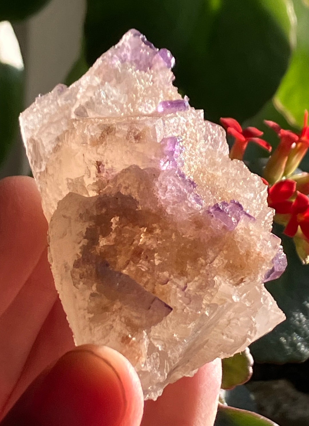 Fluorite Cluster | Phantom Zoning | Cave in Rock District | Hardin ...