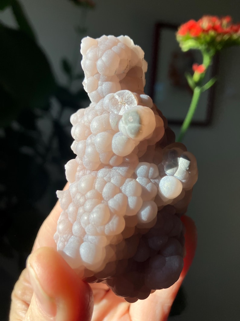 Pink Botryoidal Datolite Over Danburite | Mexico - Etsy