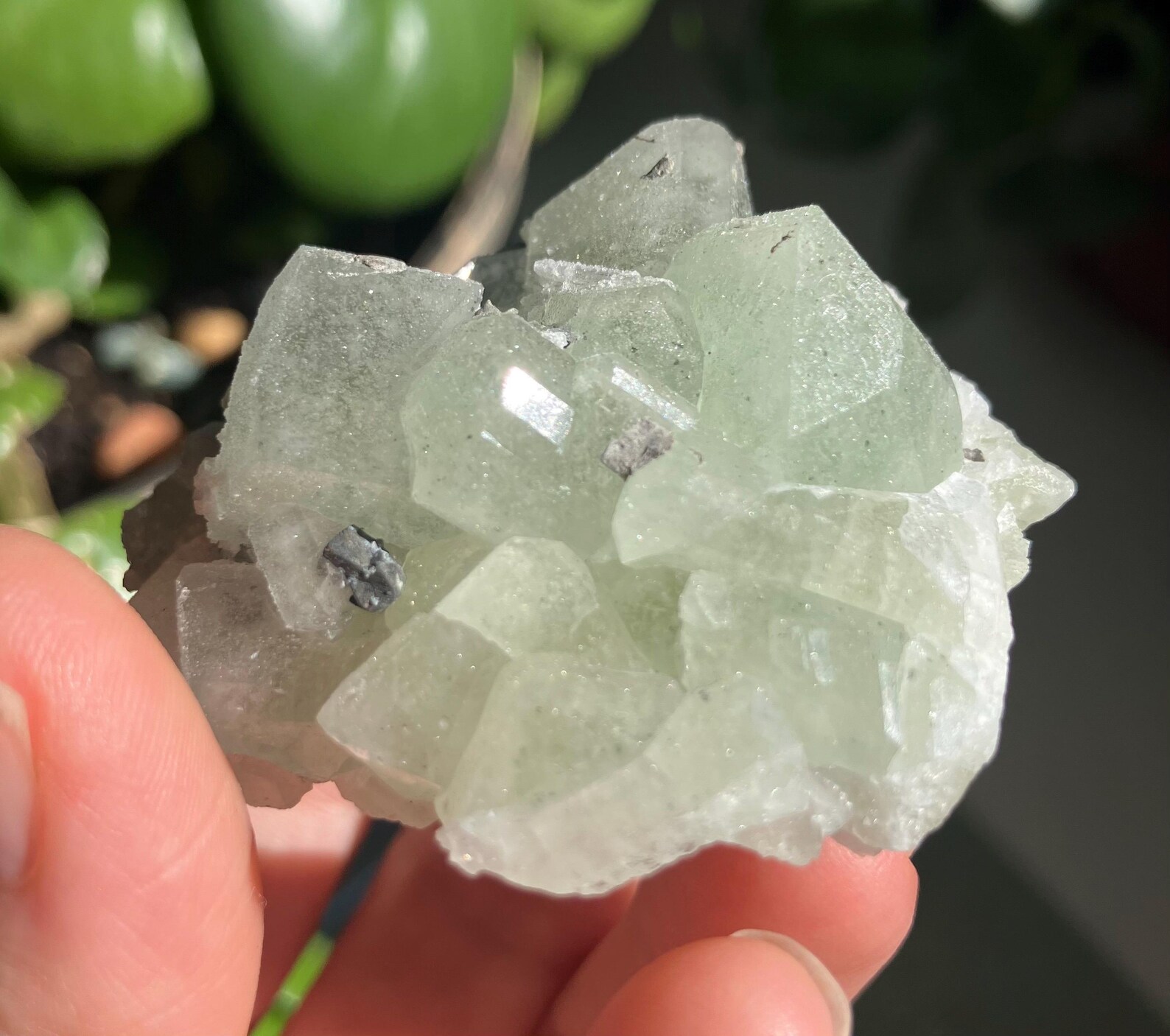 Cúmulo de datolita verde / Druzy parcial / Calcopirita / Charcas SLP ...
