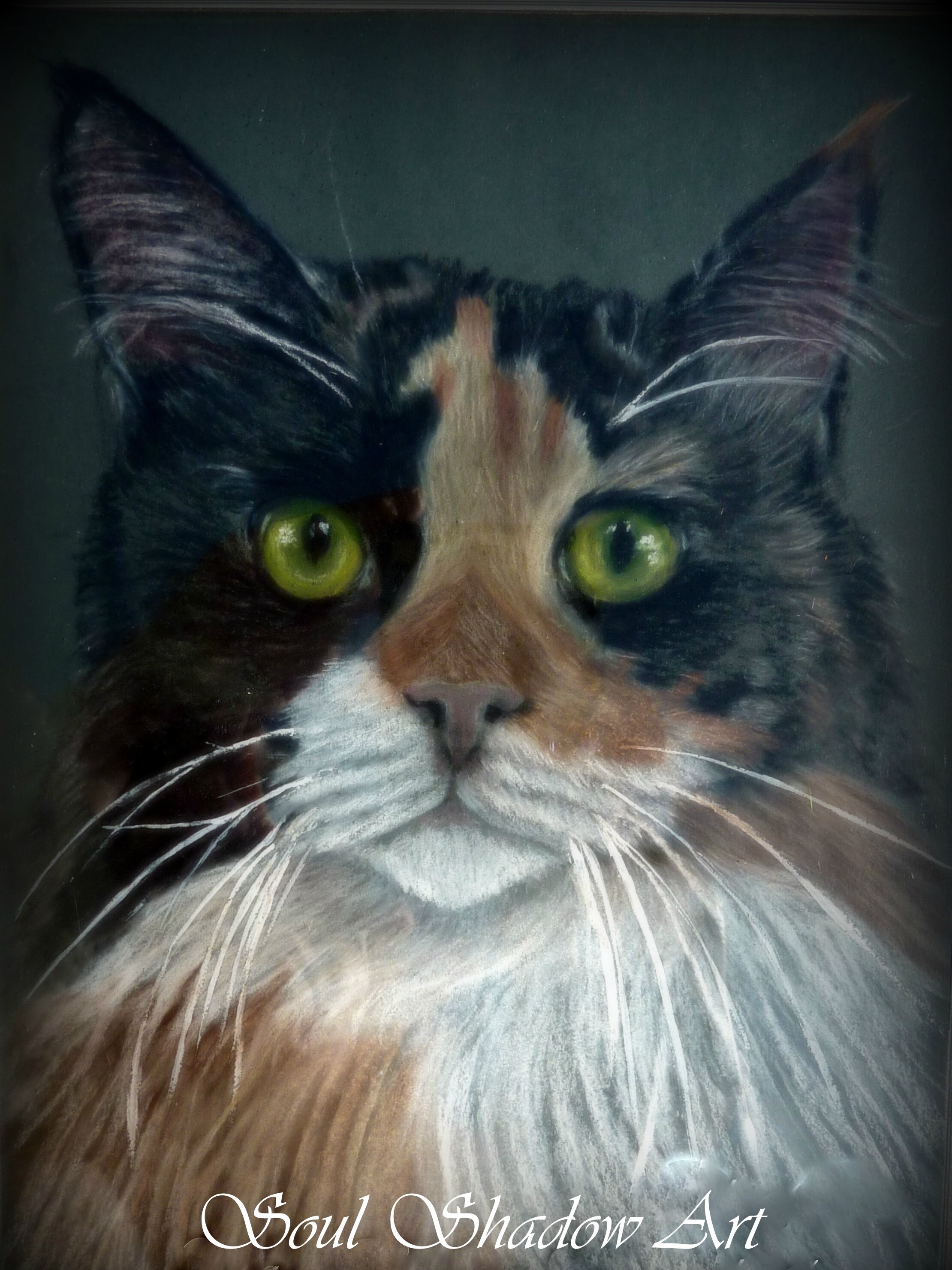 Custom Hand Painted Cats in Pastels Maine Coons Tabby Cats - Etsy Israel